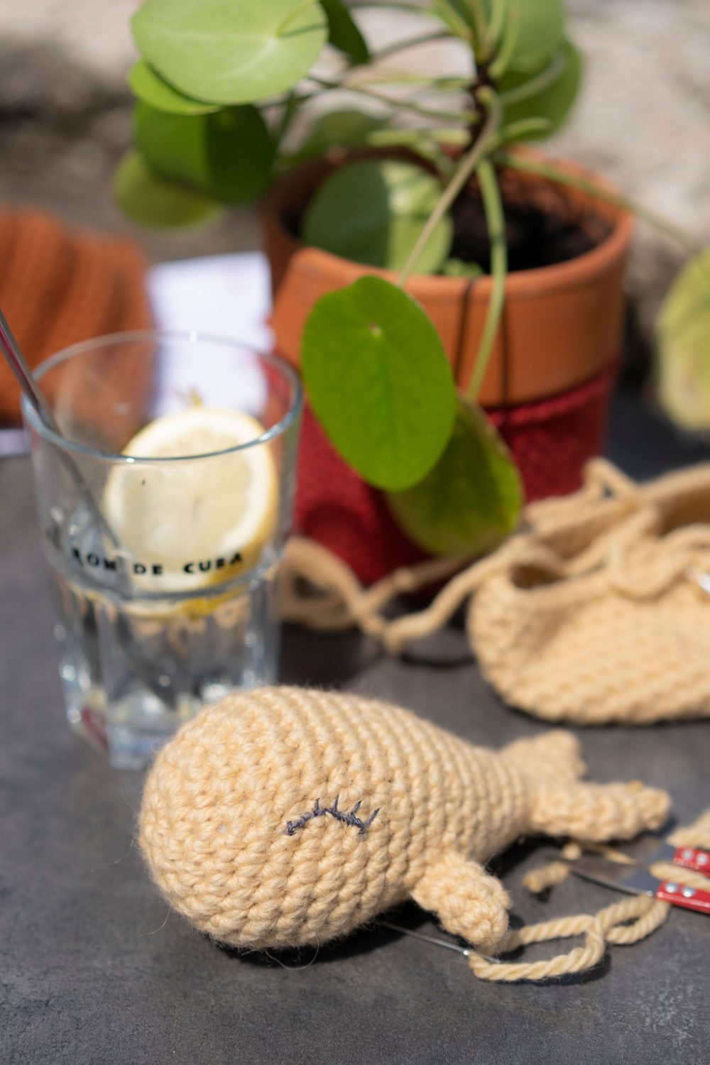 Kit Starter - Kit pour apprendre les bases du crochet - Niveau débutant